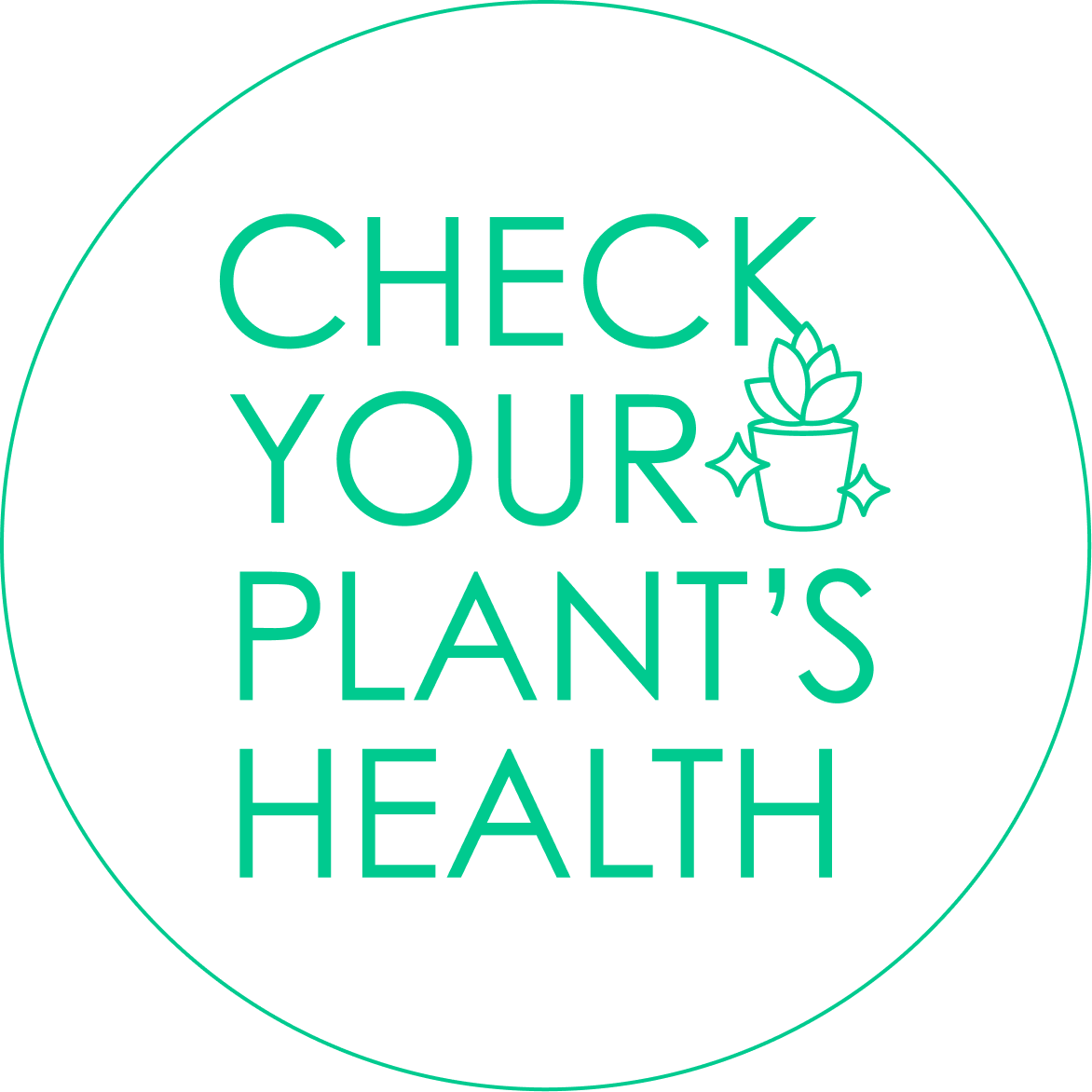 植物健康診断 | 観葉植物・お花の通販 AND PLANTS (アンドプランツ)